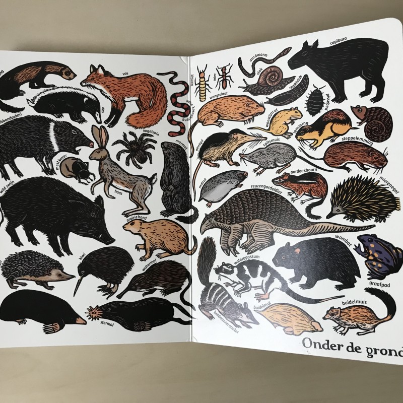 Mini beesten boek